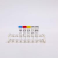 China R1031 GDSBio First Strand CDNA Synthesis RT-PCR Mix For QPCR Premixed RNA Reverse Transcriptase PCR Reagents for sale