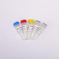 China R1031 GDSBio First Strand CDNA Synthesis RT-PCR Mix For QPCR Premixed RNA Reverse Transcriptase PCR Reagents for sale