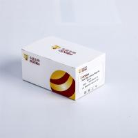China Colourless NGS Library Construction Fast DNA Prep Kit K001-A K001-B for sale