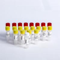 China Multiplex Oligos 1 NGS Library Construction For Illumina K002-A/192 Rxns for sale