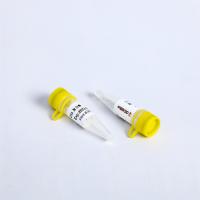 China P1113 PCR Master Mix Bst DNA Polymerase Exonuclease Minus 8000 U/mL for sale