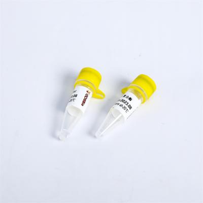 China P1113 PCR Master Mix Bst DNA Polymerase Exonuclease Minus 8000 U/mL for sale