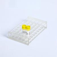 China P1113 PCR Master Mix Bst DNA Polymerase Exonuclease Minus 8000 U/mL for sale