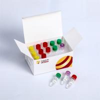 China Illumina NGS Library Construction Fast DNA Library Plus Prep Kit K004-A K004-B for sale