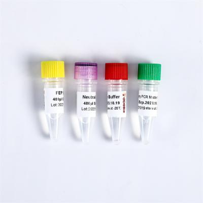 China Illumina NGS Library Construction Fast DNA Library Plus Prep Kit K004-A K004-B for sale
