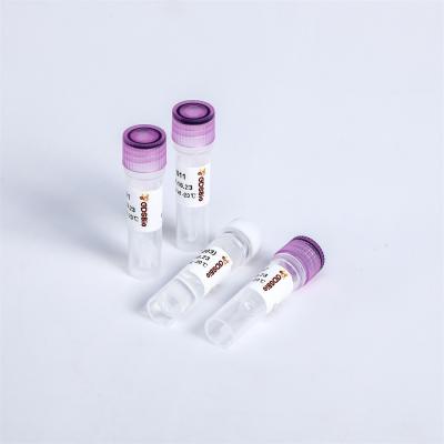 China PCR NGS Library Construction UDI UMI Adapters Primers For Illumina K003-A K003-B K003-C K003-D for sale