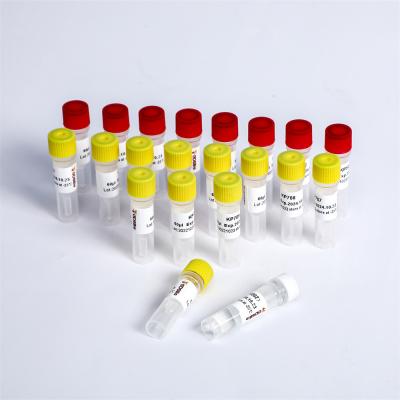 China GDSBio NGS Library Adapter Construction Multiplex Oligos 1 For Illumina K002-A/192 Rxns for sale