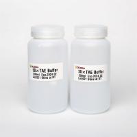 China 10× Tae DNA Electrophoresis Buffer In Gel M9022 500ml for sale