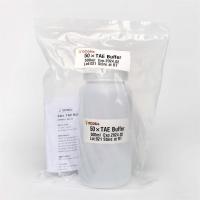 China 10× Tae DNA Electrophoresis Buffer In Gel M9022 500ml for sale