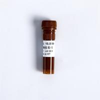 China DSRed Non Toxic Nucleic Acid Gel Stain 10000× M7021 0.5 Ml for sale
