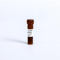 China DSRed Non Toxic Nucleic Acid Gel Stain 10000× M7021 0.5 Ml for sale
