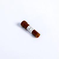 China DSRed Non Toxic Nucleic Acid Gel Stain 10000× M7021 0.5 Ml for sale