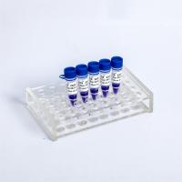 China Nucleic Acid Dyes DNA Marker Electrophoresis For Pairing LD DS 2000 LM1101 LM1102 for sale