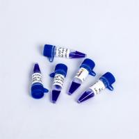 China GDSBio Pre Staining Gel LD DS 5000 DNA Marker Electrophoresis Blue LM1111 LM1112 for sale
