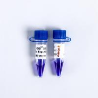 China Nucleic Acid Dye LD DS 5000 DNA Marker Electrophoresis Ladder LM111 for sale