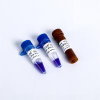 China Nucleic Acid Dye LD DS 5000 DNA Marker Electrophoresis Ladder LM111 for sale