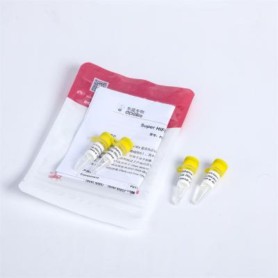 China DNA Polymerase Super HIFI PCR Master Mix P2111 P2112 P2113 Ultra High Fidelity for sale
