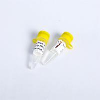 China DNA Taq Polymerase Super HIFI PCR Master Mix P2111 P2112 P2113 Hotstart Proofreading for sale
