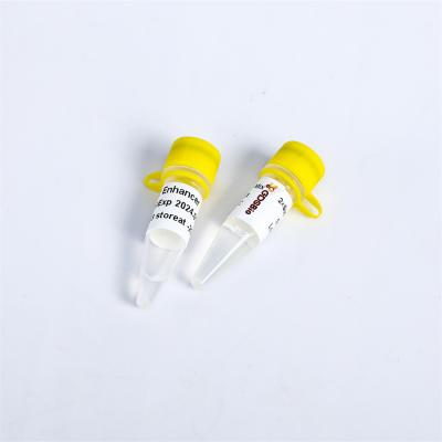 China DNA Taq Polymerase Super HIFI PCR Master Mix P2111 P2112 P2113 Hotstart Proofreading for sale