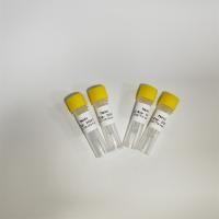 China 10μl NGS Library Construction Amplification Primer TN Primer Index List-A K211-A for sale