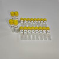 China 10μl NGS Library Construction Amplification Primer TN Primer Index List-A K211-A for sale