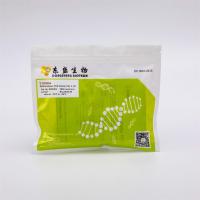 China 2X NGS Library Construction Multiplex PCR Master Mix 2000 Reactions for sale
