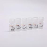 China 2X NGS Library Construction Multiplex PCR Master Mix 2000 Reactions for sale