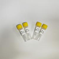 China 100 rxns NGS Library Construction PCR Amplification TN Primer Index List-A K211-A for sale