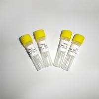 China 100 rxns NGS Library Construction PCR Amplification TN Primer Index List-A K211-A for sale