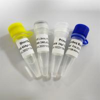 China K009-A K009-B NGS Library Construction For Fast DNA Illumina ShortSeq Library Prep Kit for sale