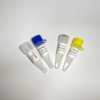 China K009-A K009-B NGS Library Construction For Fast DNA Illumina ShortSeq Library Prep Kit for sale