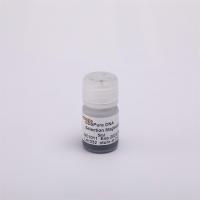 China NC1011 NC1012 NC1013 NGS Library Construction DNA Selection Magbeads For Select DNA Fragments for sale