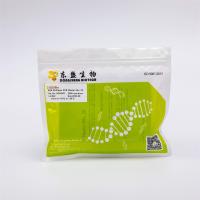China NGS Library Construction Multiplex PCR Master Mix NM1001 NM1002 NM1003 for sale
