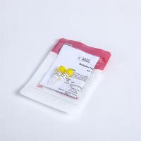 China Pollution - Proof Multiplex PCR Master Mix With UDG and GC Enhancer PM2001 for sale
