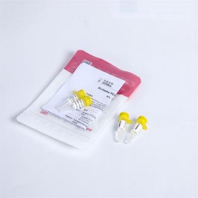 China The Specificity Pollution - Proof 2X Multiplex DNA RNA PCR Master Mix With UDG PM2001 PM2002 PM2003 for sale