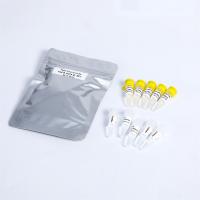 China Power Green qPCR Mix for DNA real time PCR 5ml for sale