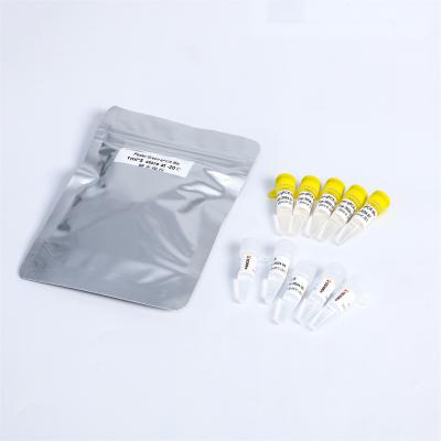 China Power Green qPCR Mix for DNA real time PCR 5ml for sale