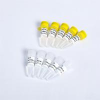 China Power Green qPCR Mix with ROX for ABI Roche DNA real time PCR 5ml for sale