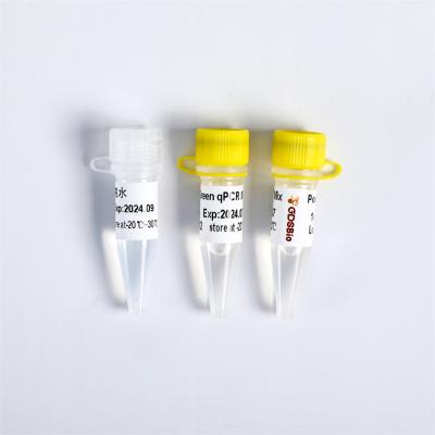 China Power Green qPCR Mix with ROX for ABI Roche DNA real time PCR 5ml for sale