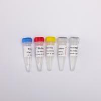 China R1031 GDSBio RT Mix For QPCR Premixed Reverse Transcriptase PCR Reagents for sale