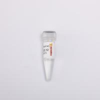 China 20000U RNase Inhibitor Enzyme From Murine R4001 for sale