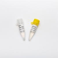 China Multiplex Probe qPCR Mix for DNA real time PCR 1ml for sale