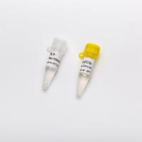 China Multiplex Probe qPCR Mix for DNA real time PCR 1ml for sale