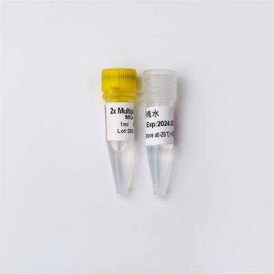 China P2701-2 QPCR Real Time PCR Mix 5ml P2702 2× Concentrated Premix Multiplex Probe With Udg Enzyme for sale