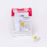 China P2701-3 Concentrated Premix Multiplex Probe 2× QPCR Real Time PCR Master Mix With Udg Enzyme for sale