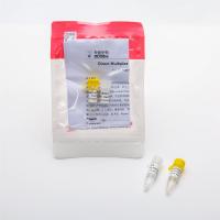 China P2801-2 Real Time PCR Reagent Mix Direct Multiplex Probe QPCR Mix Plus U With Udg Enzyme P2802 5ml for sale