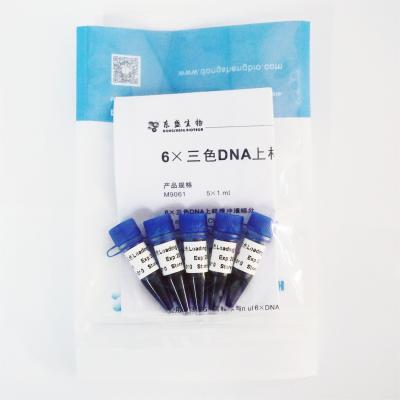 China Orange 6x DNA Loading Dye 1mlx5 DNA Electrophoresis Gel Loading Buffer for sale