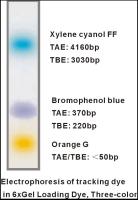 China 6× Gel Loading Dye Three Color DNA Electrophoresis Buffer EDTA 1mlx5 for sale