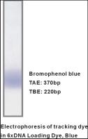 China M9051 1mlx5 6× Gel Loading Buffer DNA Electrophoresis Specific Reagents for sale