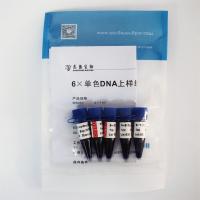China M9051 1mlx5 6× Gel Loading Buffer DNA Electrophoresis Specific Reagents for sale